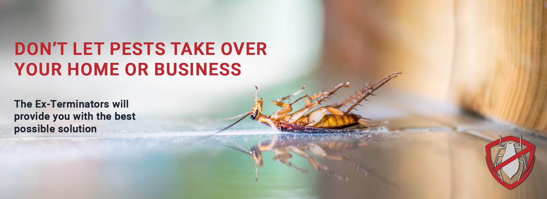 About Our Expert Pest Control and Bird Control Services