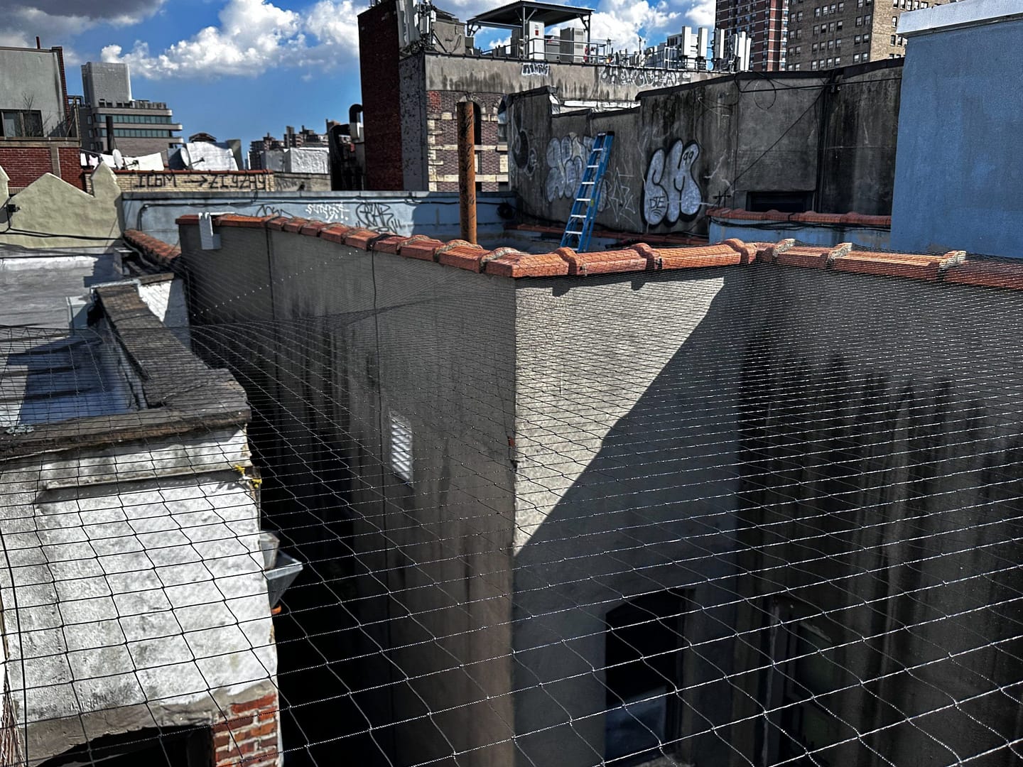 Pigeon Netting NYC & Long Island | Guaranteed Results